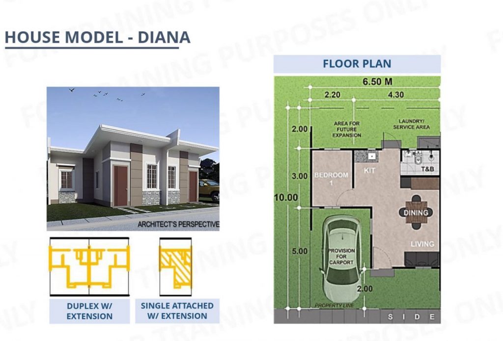 Sunnyvale @ Concepcion, Tarlac - SMDC Home